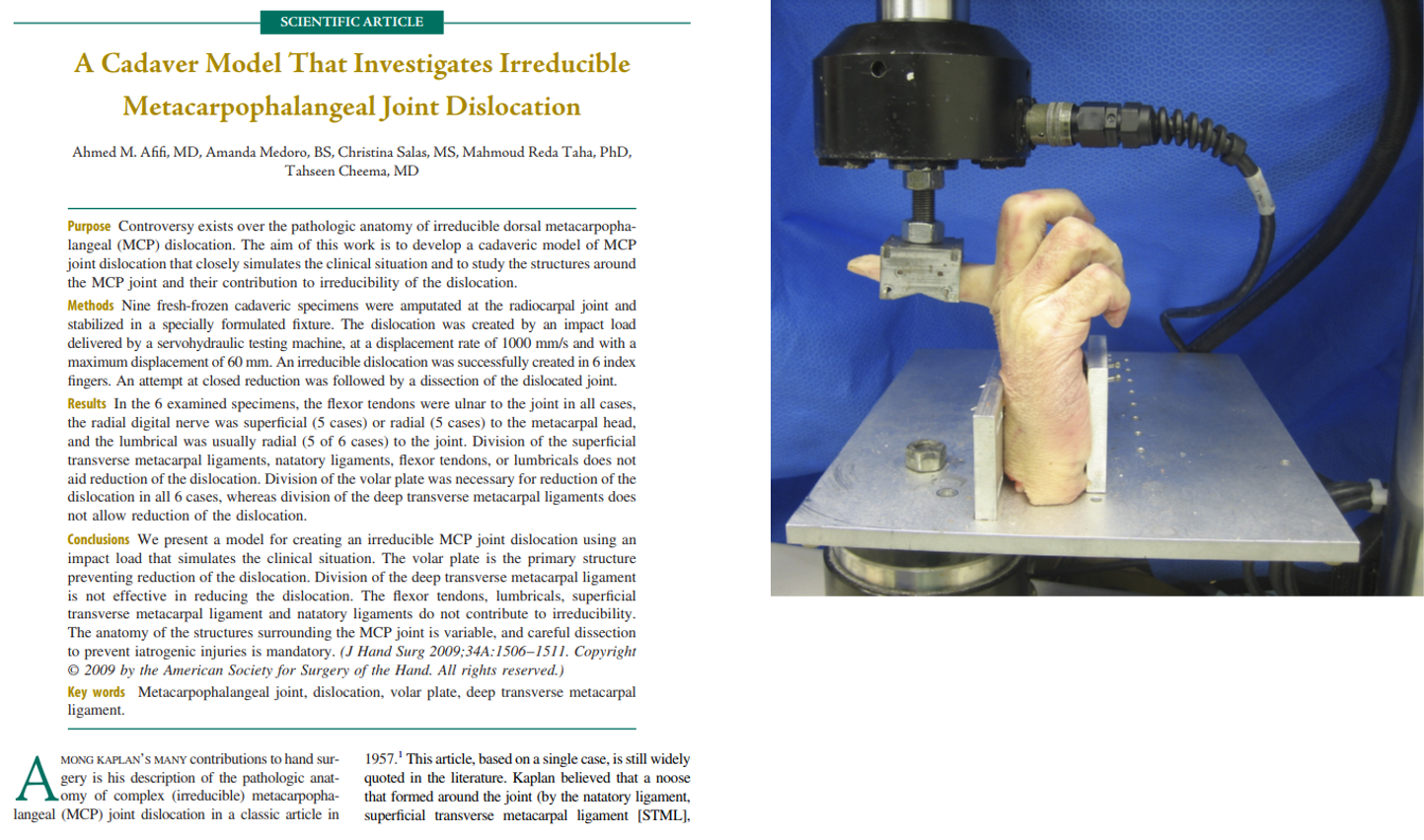 Biomechanics – Mahmoud Reda Taha
